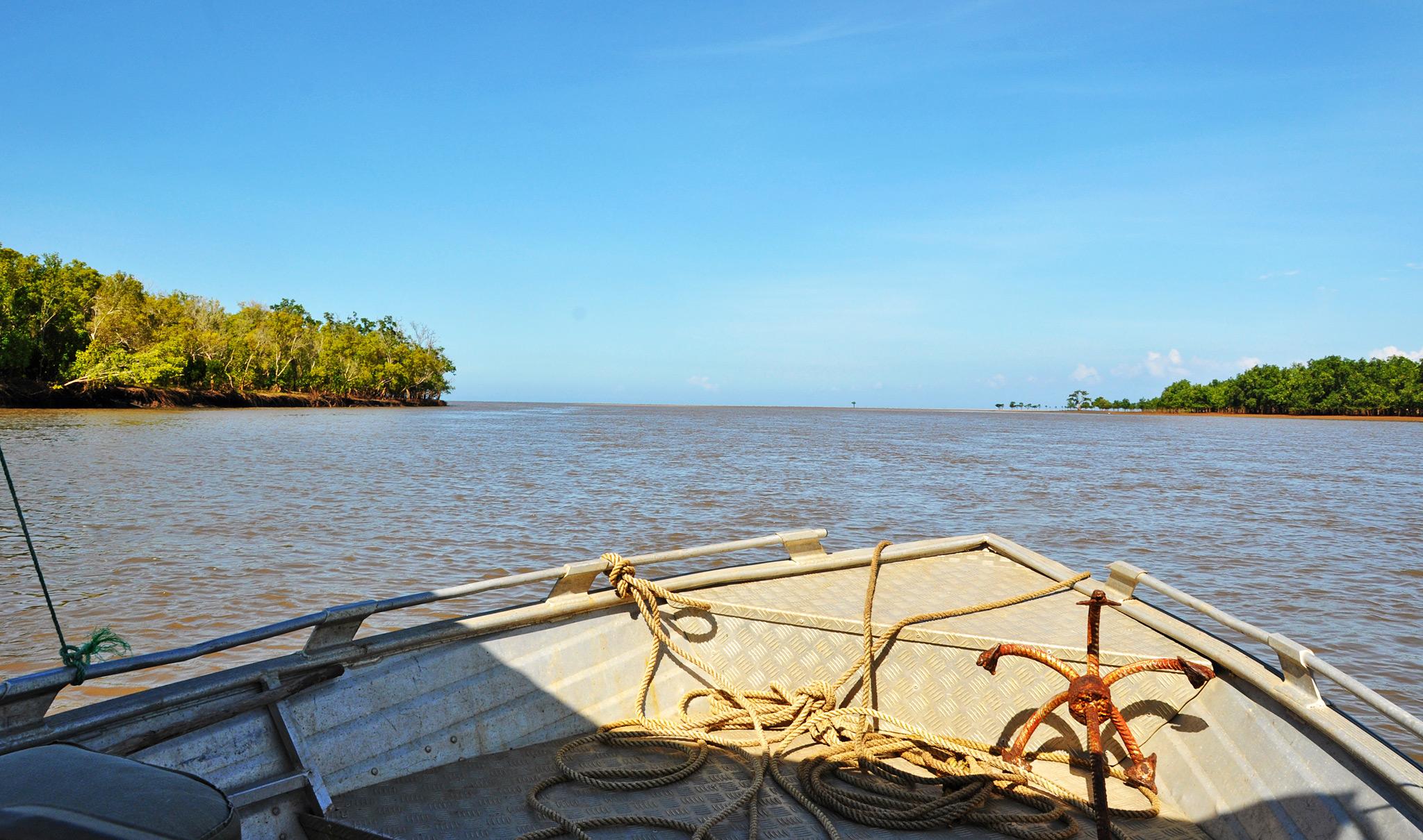 A safari guide's top 5 experiences in Tanzania | Tanzania-Experience