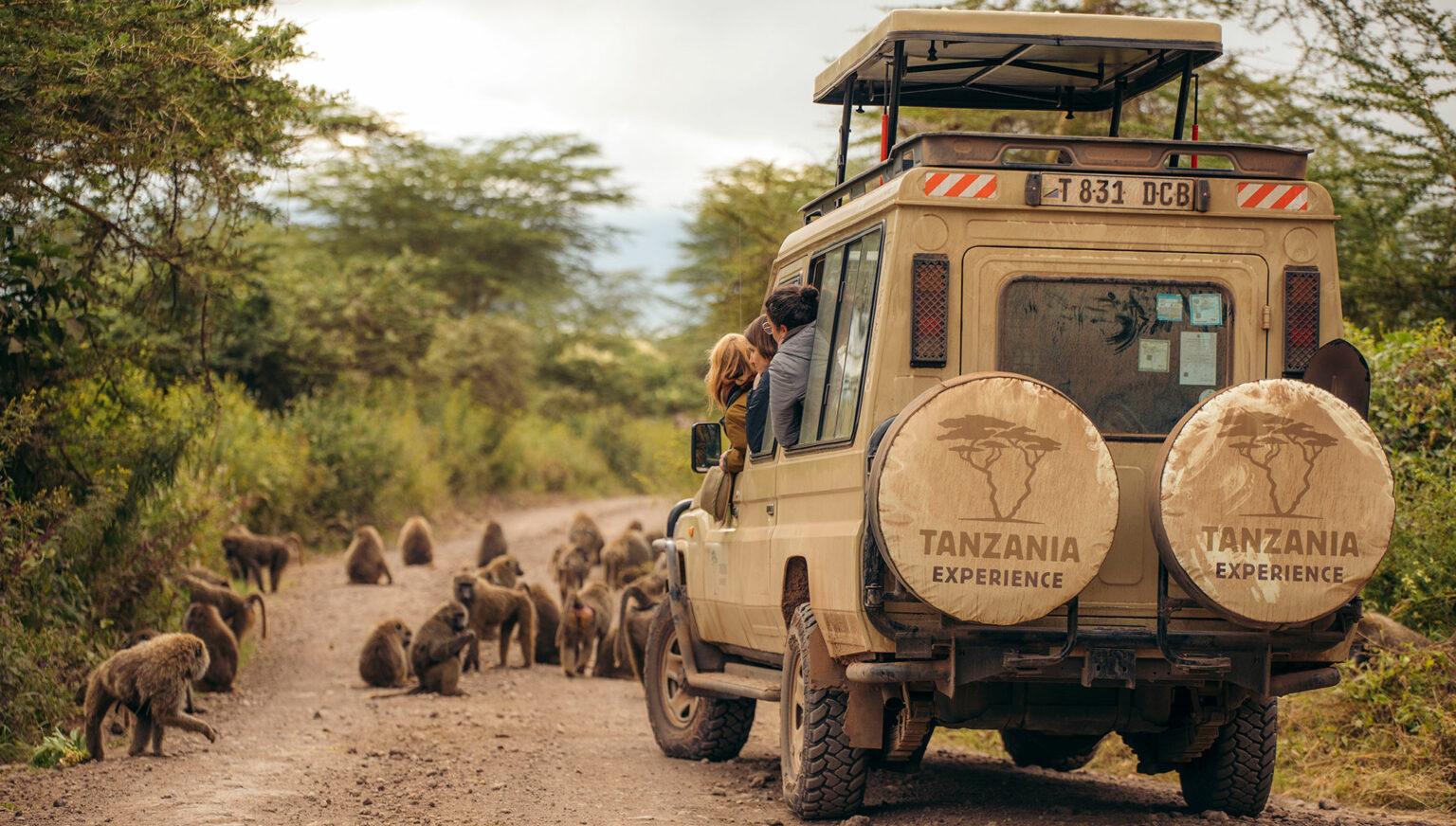 Lake Manyara National Park in Tanzania: Safaris & Travel Guide