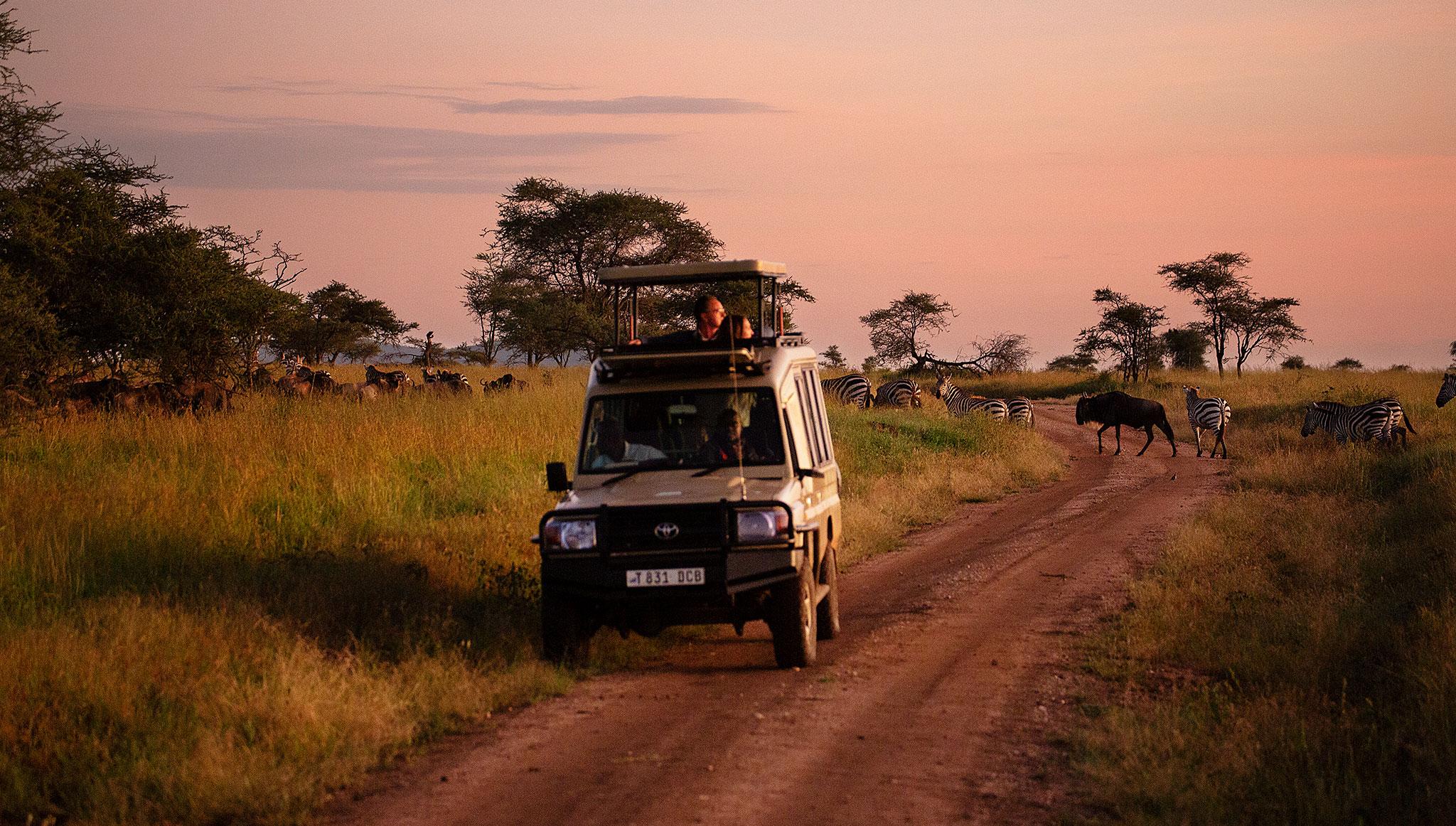 Tanzania & Zanzibar Honeymoon: Romantic Safari + Beach Trips