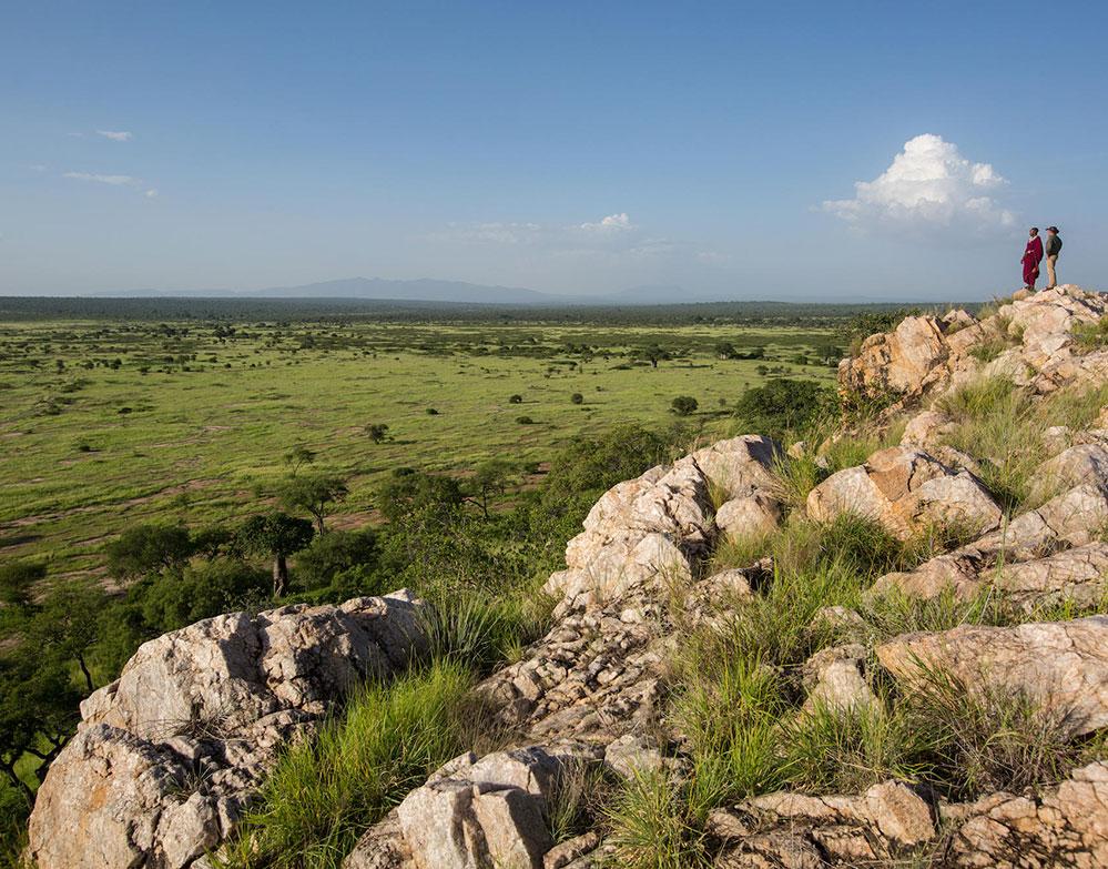 Private Tanzania Safari | Tanzania-Experience