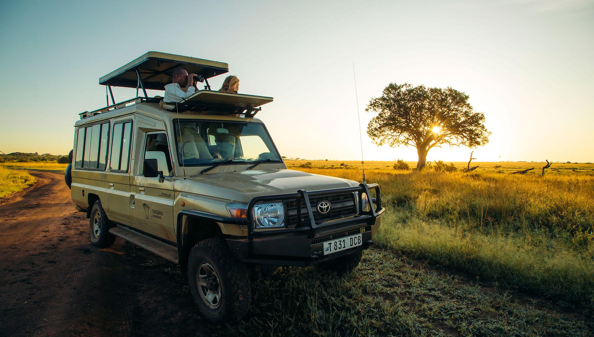 Tanzania Small Group Safaris: Intimate Wildlife Experiences