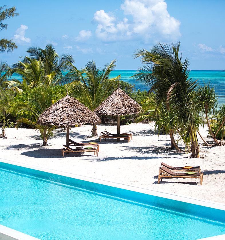 Tanzania & Zanzibar Honeymoon: Romantic Safari + Beach Trips