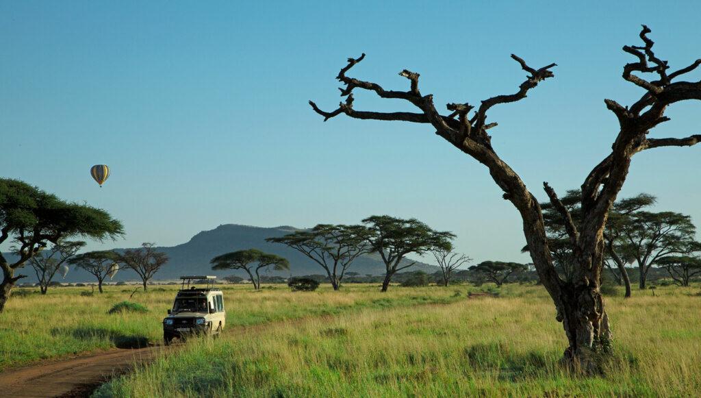 Private Tanzania Safari | Tanzania-Experience