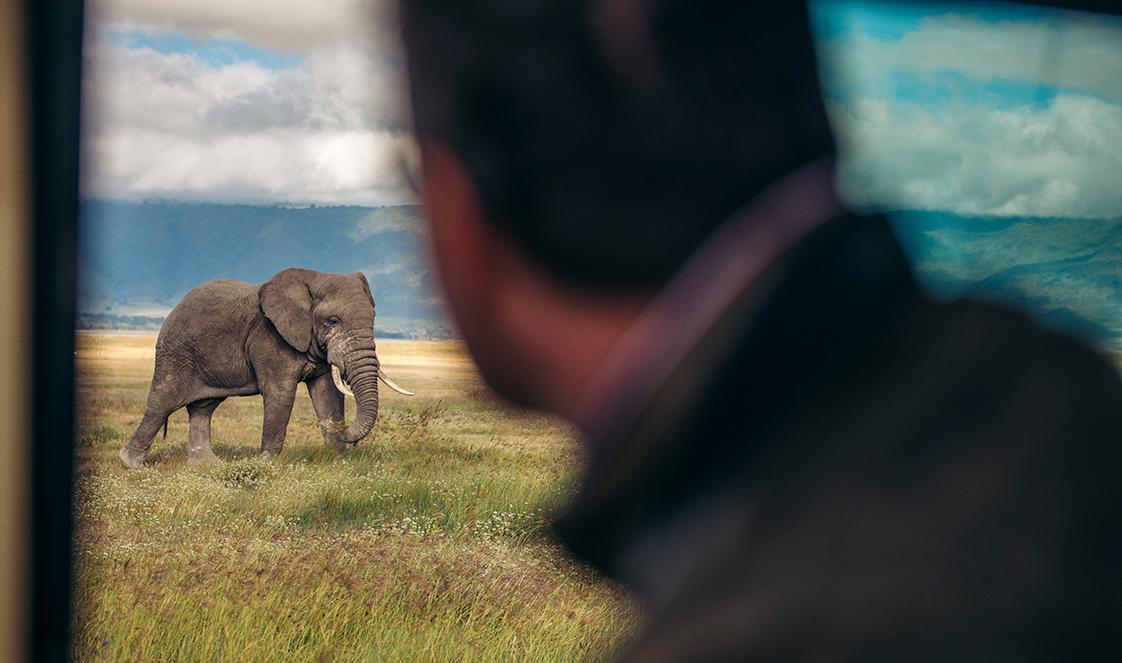 Tanzania Safaris - Journeys of a lifetime | Tanzania-Experience