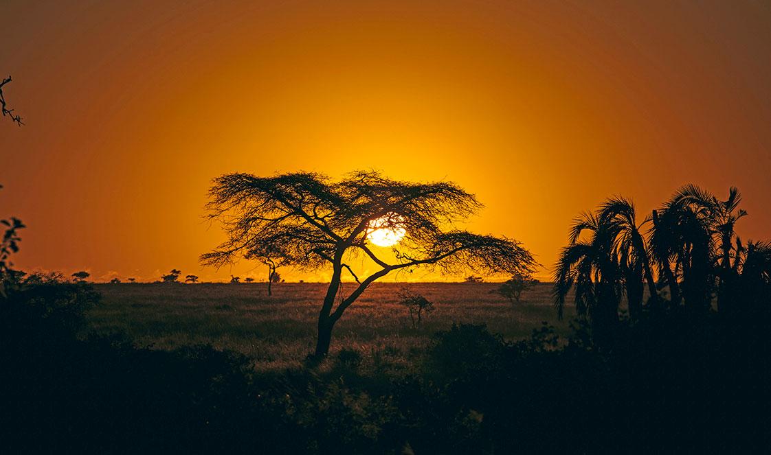 Tanzania Fun Facts: Culture, Wildlife, and Natural Wonders | Tanzania ...