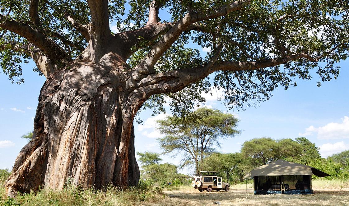 Tanzania Safaris - Journeys of a lifetime | Tanzania-Experience