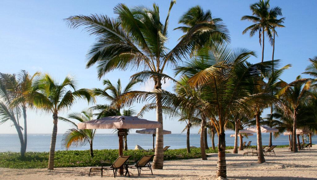 Pemba Island Holidays: Serene Beaches & Pristine Diving