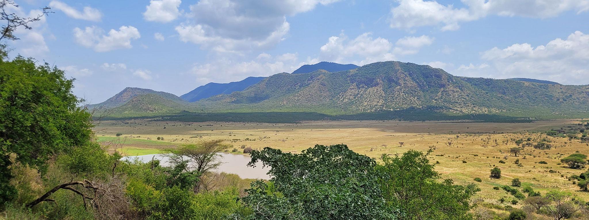 Mkomazi National Park In Tanzania Safaris Travel Guide Mkomazi National Park In Tanzania Safaris Travel Guide
