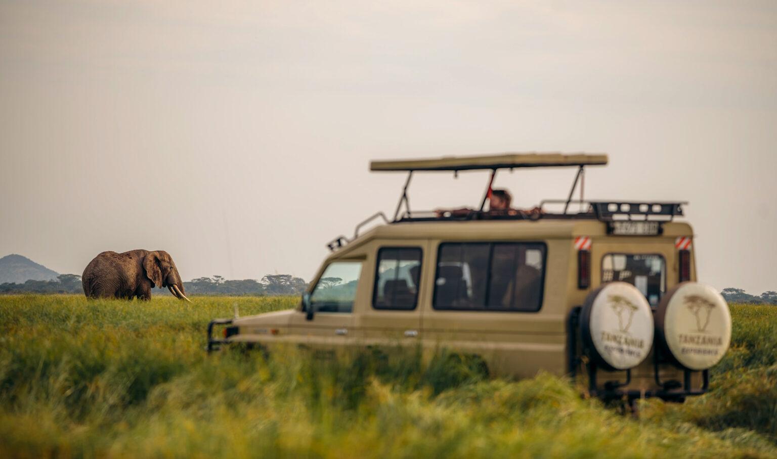 What to do in Tanzania in seven days - itinerary ideas