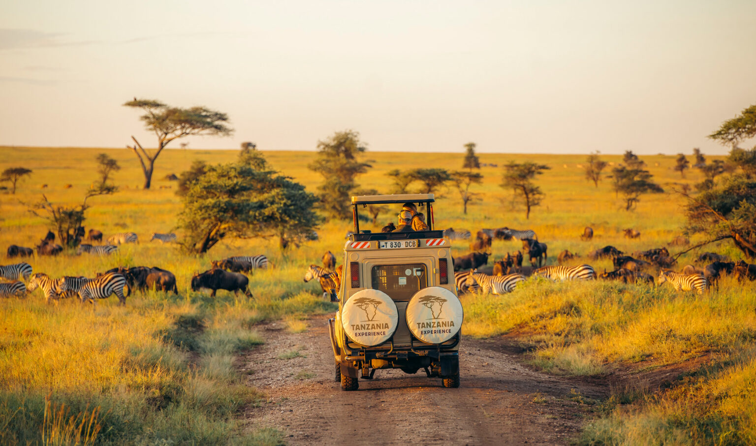 Tanzania Fun Facts: Culture, Wildlife, and Natural Wonders | Tanzania ...