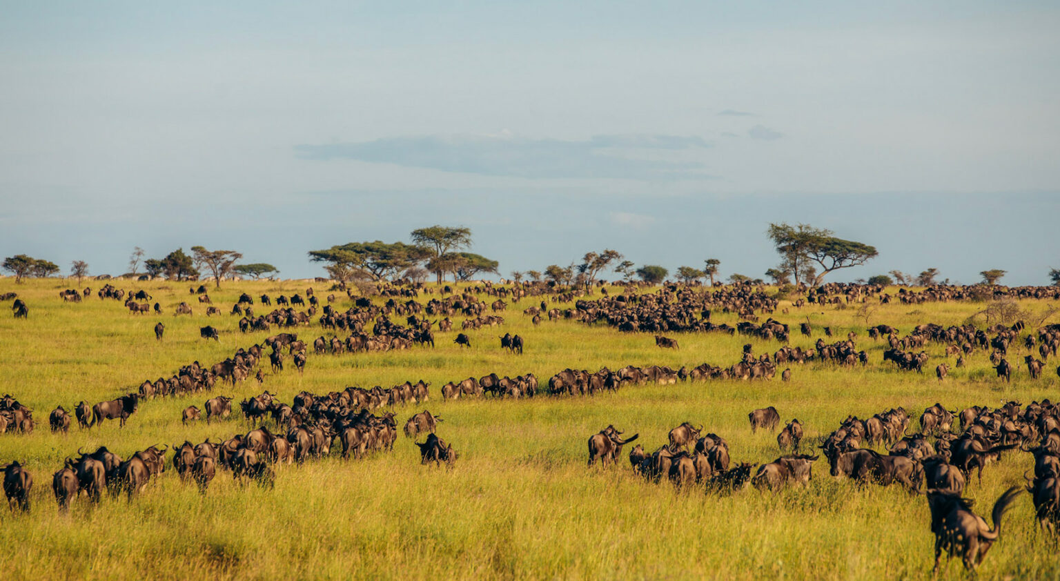 Top Tanzania Safari Tours for Every Type of Traveller